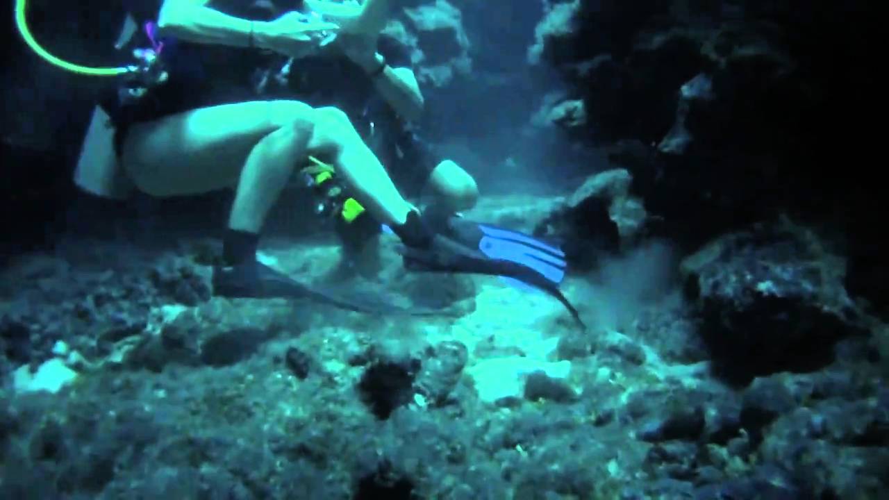 Eden Rock Dive - YouTube