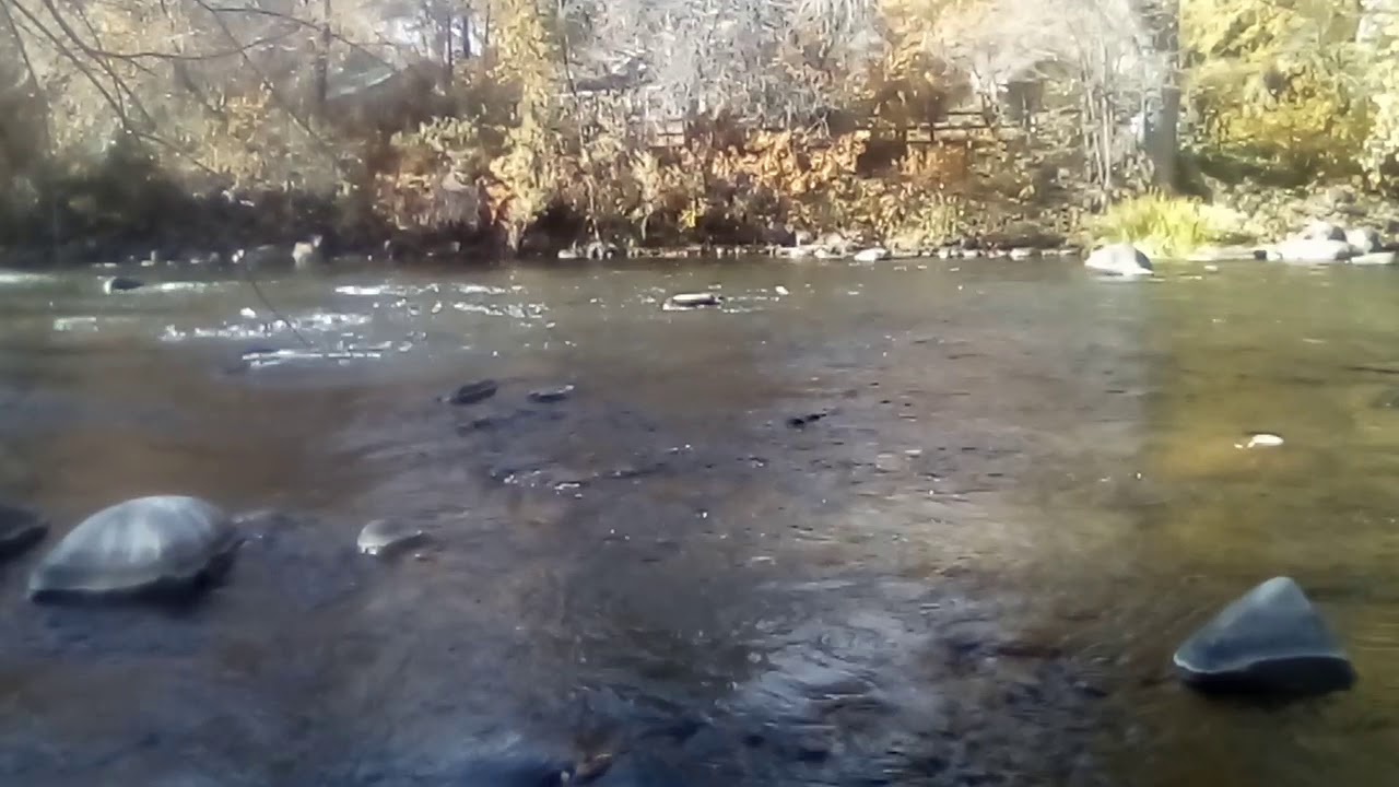 November 18, 2019 - YouTube
