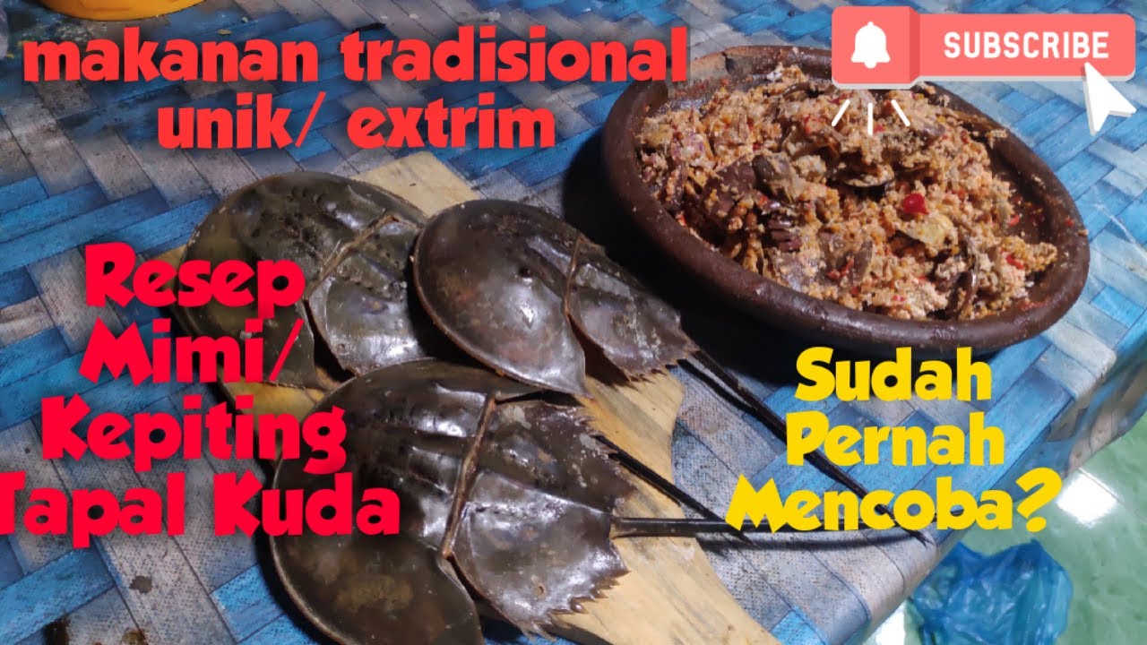 Makanan Unik dan Enak, Urap Mimi/ Kepiting Tapal Kuda, Resep ...