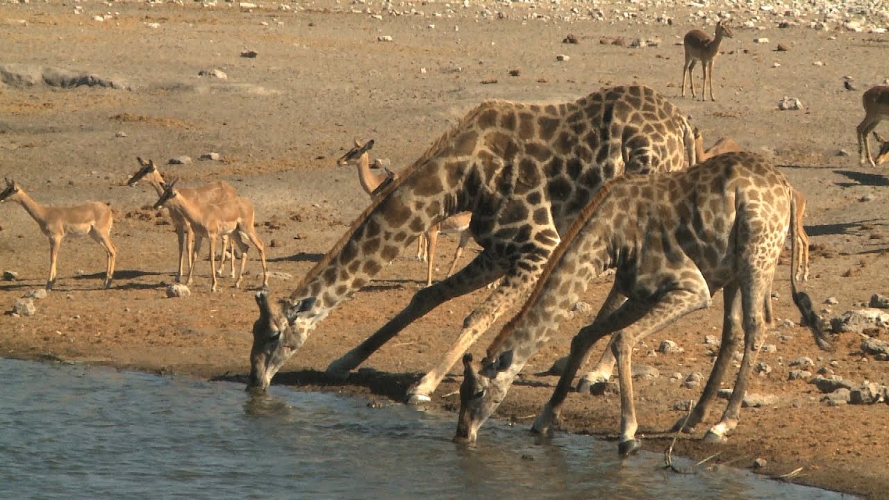 Namibia's New Groundwater Treasure - The Ohangwena II Aquifer - YouTube
