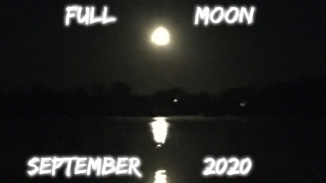 Catching Big Bass And A Giant Bird On A Full Moon Sept 2020 - YouTube