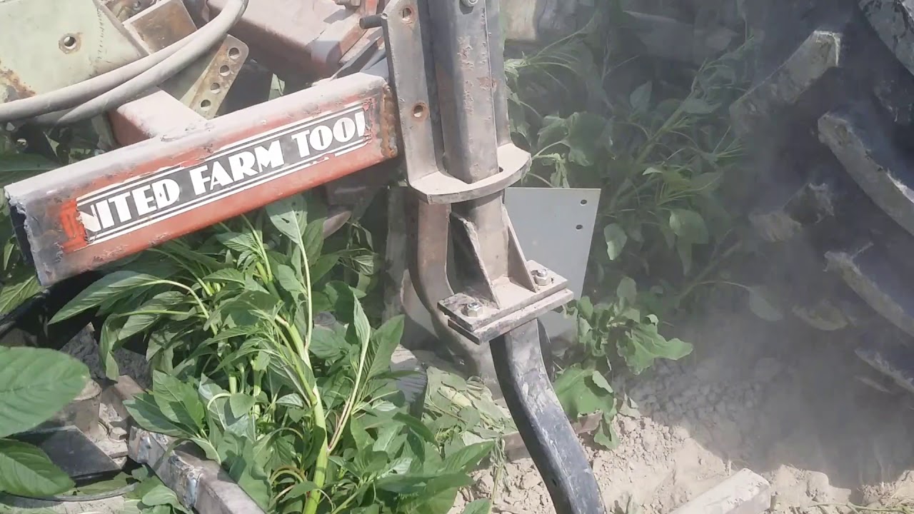This is the weed puller I built out of old parts last year! Pulling ...