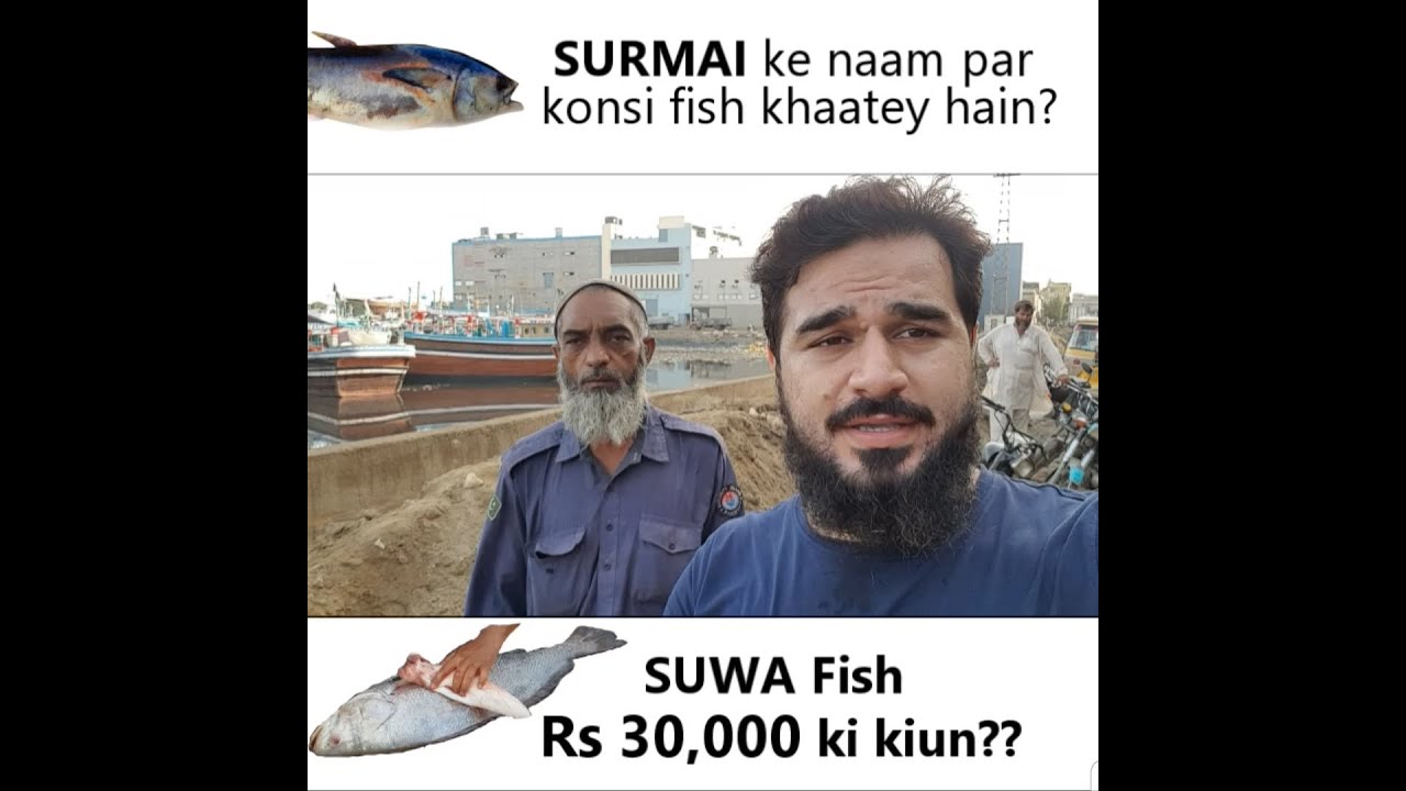 Karachi Fishery me Rs 30,000 ki fish SUWA FISH aur SURMAI ke naam pe ...