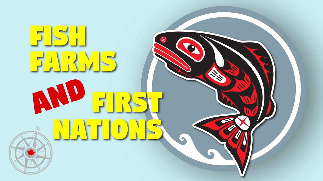 How are First Nations' fish farms transforming the West Coast?: Ken ...