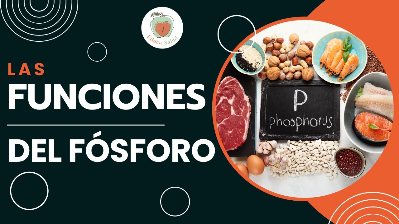EL FÓSFORO: Sus Funciones y para qué sirve - YouTube