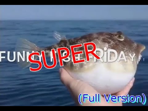 SUPER Funny Fish Friday - YouTube