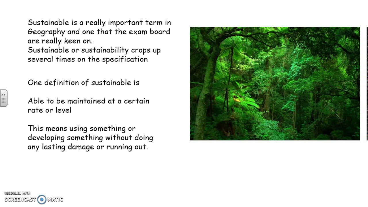 sustainable rainforest management - YouTube