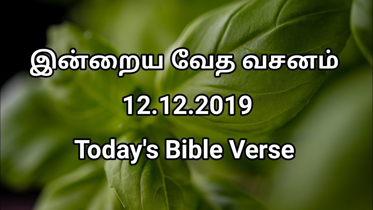 இன்றைய வேத வசனம் | Today Bible Verse - 12.12.2019 | Daily Bible Verse ...