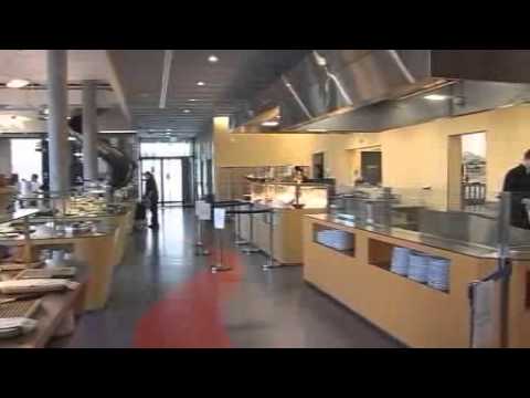 Sliding into work at Google HQ - YouTube