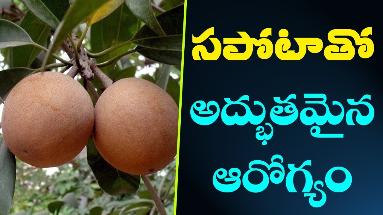 Sapota Fruit Health Benefits in Telugu | Health Benefits of sapota ...