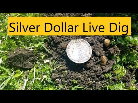 SILVER DOLLAR LIVE DIG Metal Detecting In Texas - YouTube