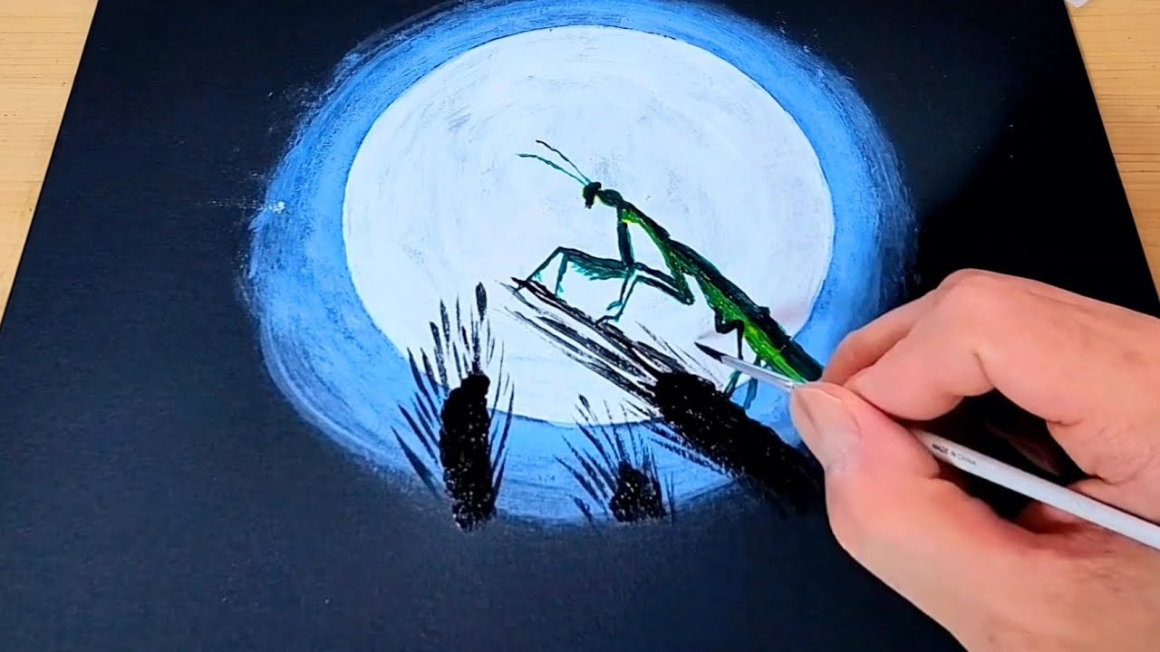 Drawing a praying mantis under the🌕 moonlight#30 - YouTube