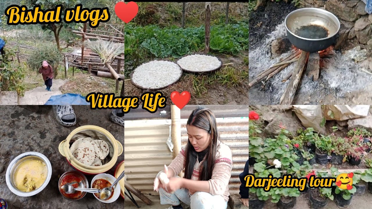 Life in Village is simple and peace 🕊️ ️||Village Life ️ ...