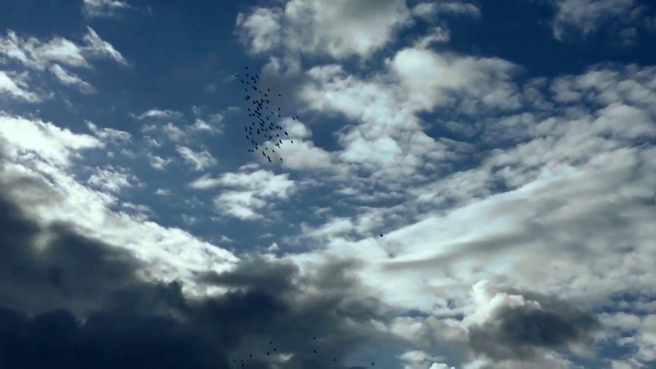 A Silver Mt. Zion - 13 Angels Standing Guard 'Round the Side of Your ...