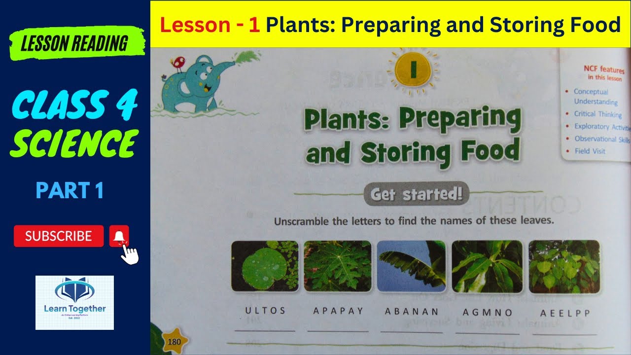 Science || Class 4 || Chapter 1 || Plants Preparing and Storing Food ...