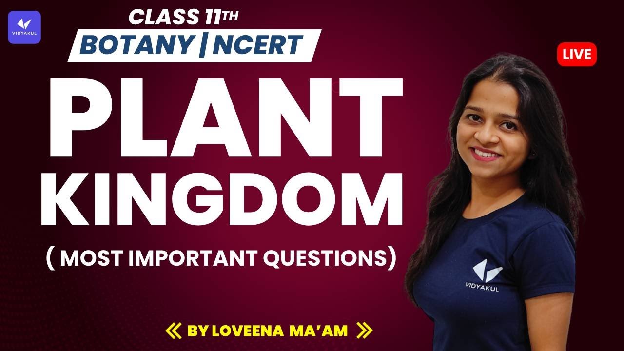 Plant Kingdom Class 11 | Most Important Questions | Class 11 Botany ...