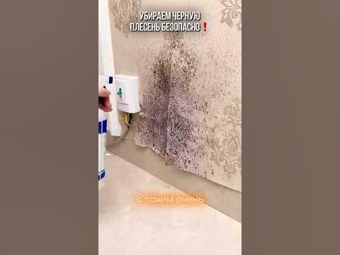 СПАСЕНИЕ от ЧЕРНОЙ ПЛЕСЕНИ🦠🦠🦠 - YouTube