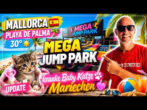 Mallorca heute 🇪🇸 Playa de Palma, Peter Wackel, Mega Jump Park & kranke Babykatze