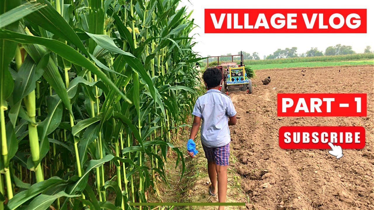 Village Tour | 4K 60fps | Amazing Village Vlog | Punjab Village | # ...