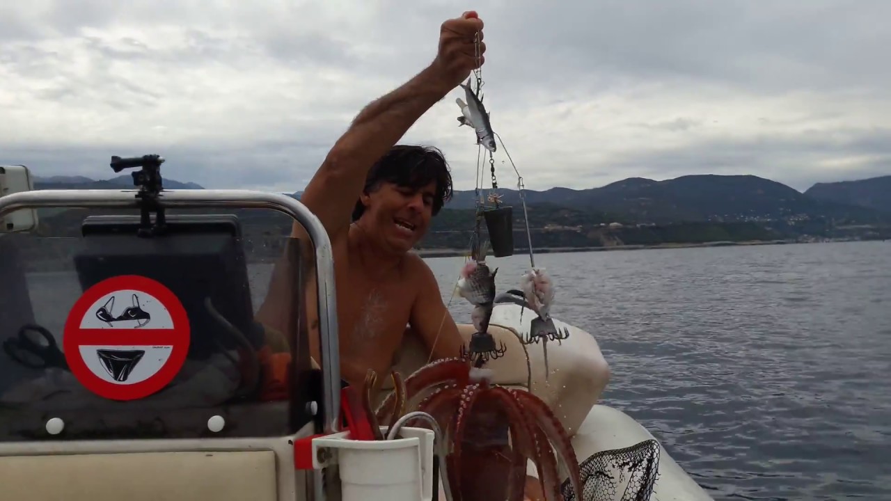 FISHING🇬🇷 SQUID!! ΚΟΡΙΝΘΙΑΚΟΣ ΘΡΑΨΑΛΟ ΚΥΝΗΓΟΣ ΨΑΡΕΜΑ ΘΡΑΨΑΛΑ ΠΙΑΣΜΕΝΟ ...