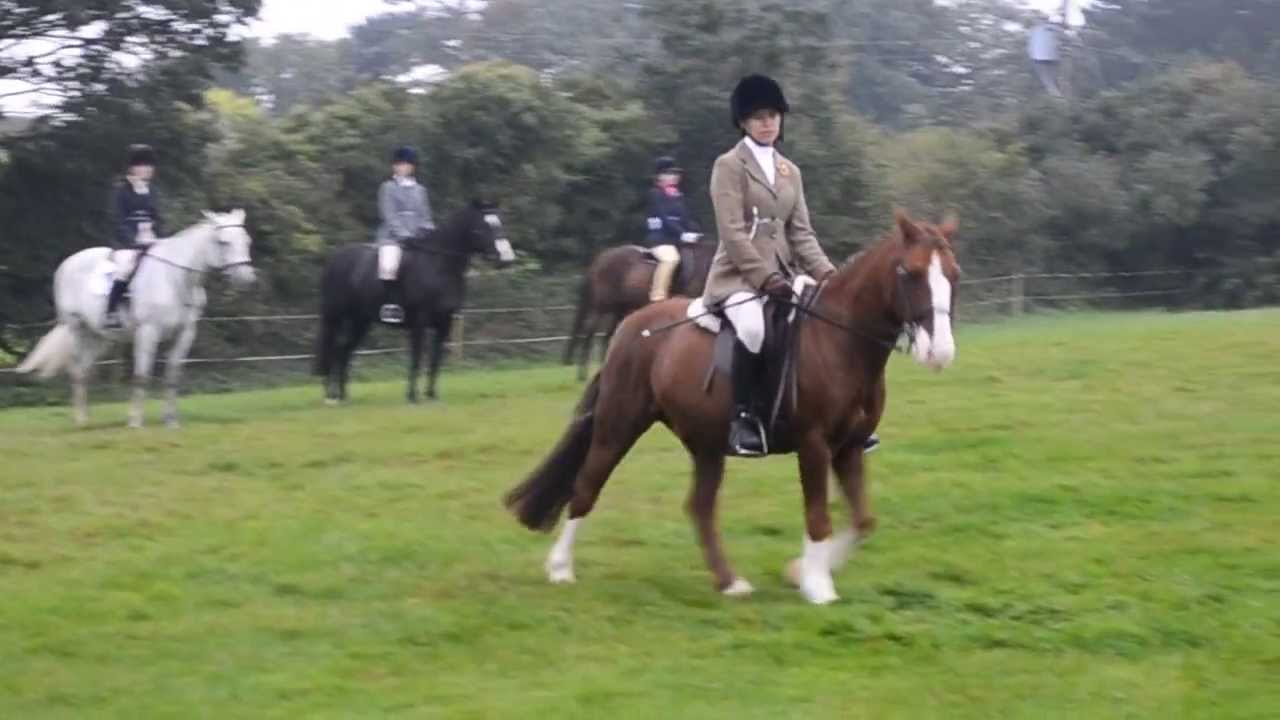 Best Combination Class Tretherras Show 2013 - YouTube