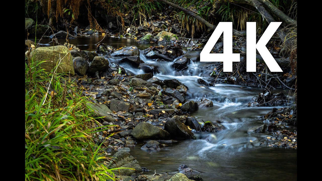 1 HOUR of flowing water to relax, study or read. REAL footage! 4K - YouTube