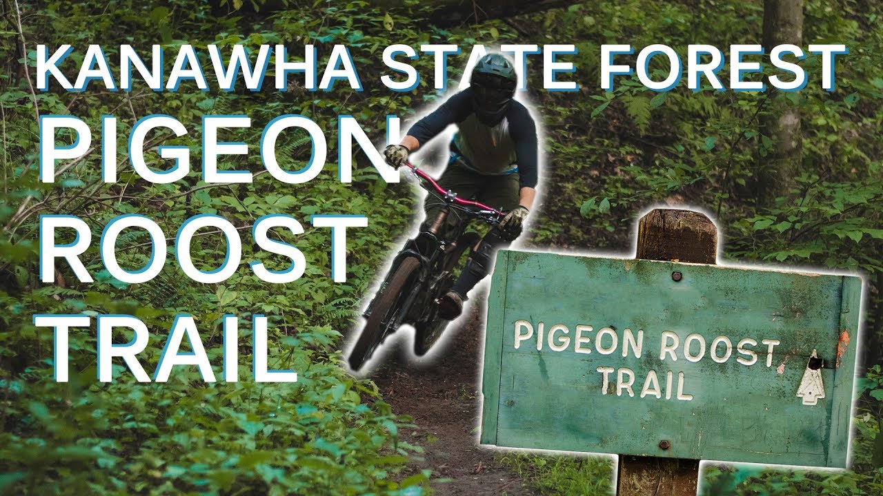 Kanawha State Forest // Pigeon Roost Trail - YouTube
