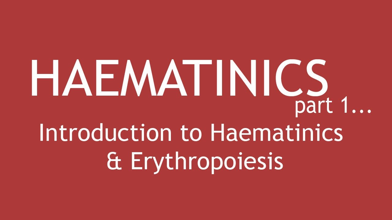 Haematinics (Part1) : Introduction to Haematinics & Erythropoiesis | Dr ...