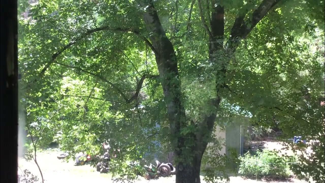 TVRM 5109 Runs Around The Train - YouTube