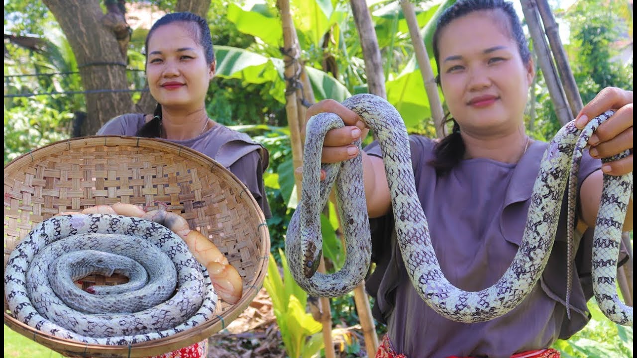 Yummy Snake Soup | Snake Soup Cooking Recipe | Ny Cooking - YouTube