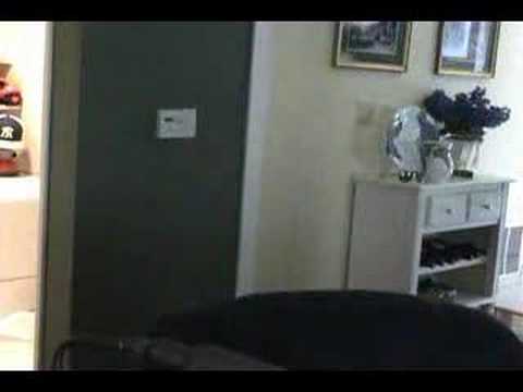 Squirrel-Mania - YouTube