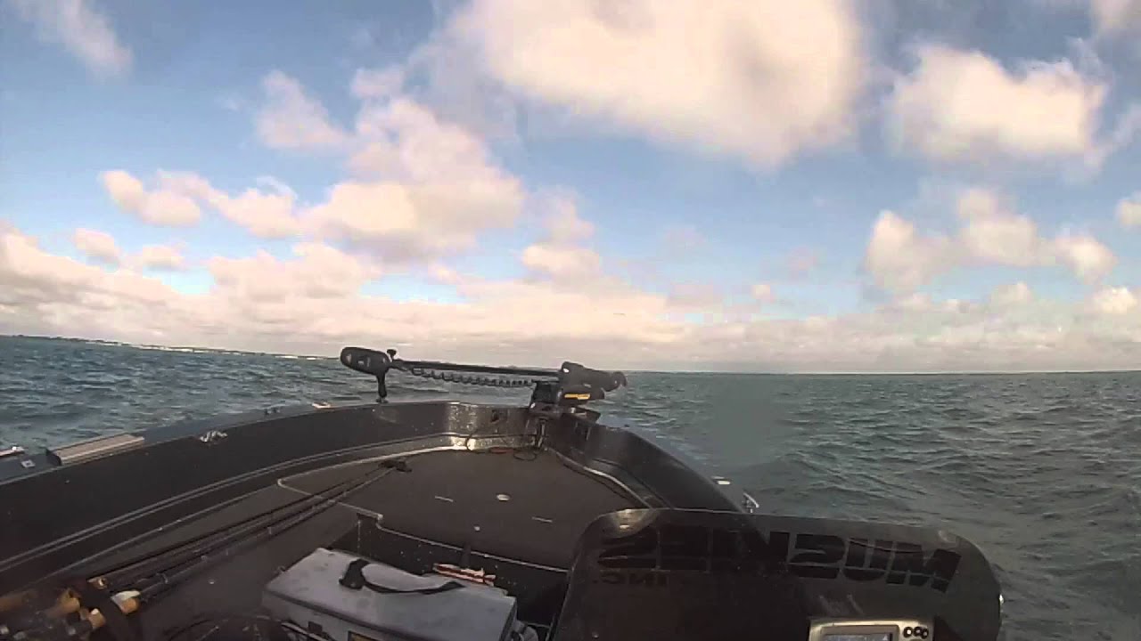 lake st clair chop-Champion Fish Hunter - YouTube