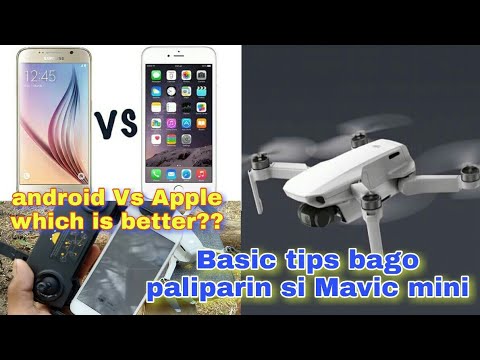 Basic Tips bago paliparin si Mavic Mini