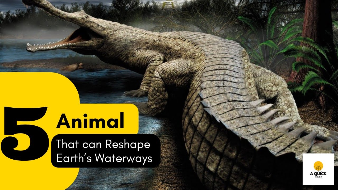 5 Animals That Can Reshape Earths Waterways - YouTube