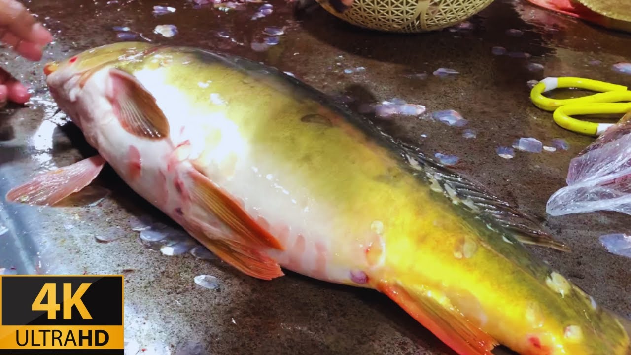 Best Fish Cutting Super Man & Fish Cutting Skills Ep 2 - YouTube