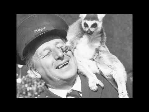Animal Magic - The Original Theme Tune - BBC TV 1960s