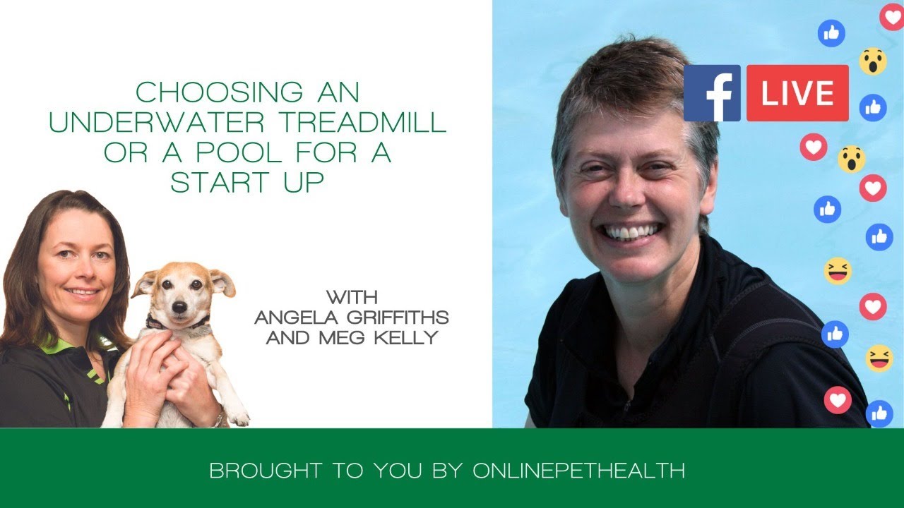 Choosing an Underwater Treadmill or a Pool for a Start Up with Angela ...