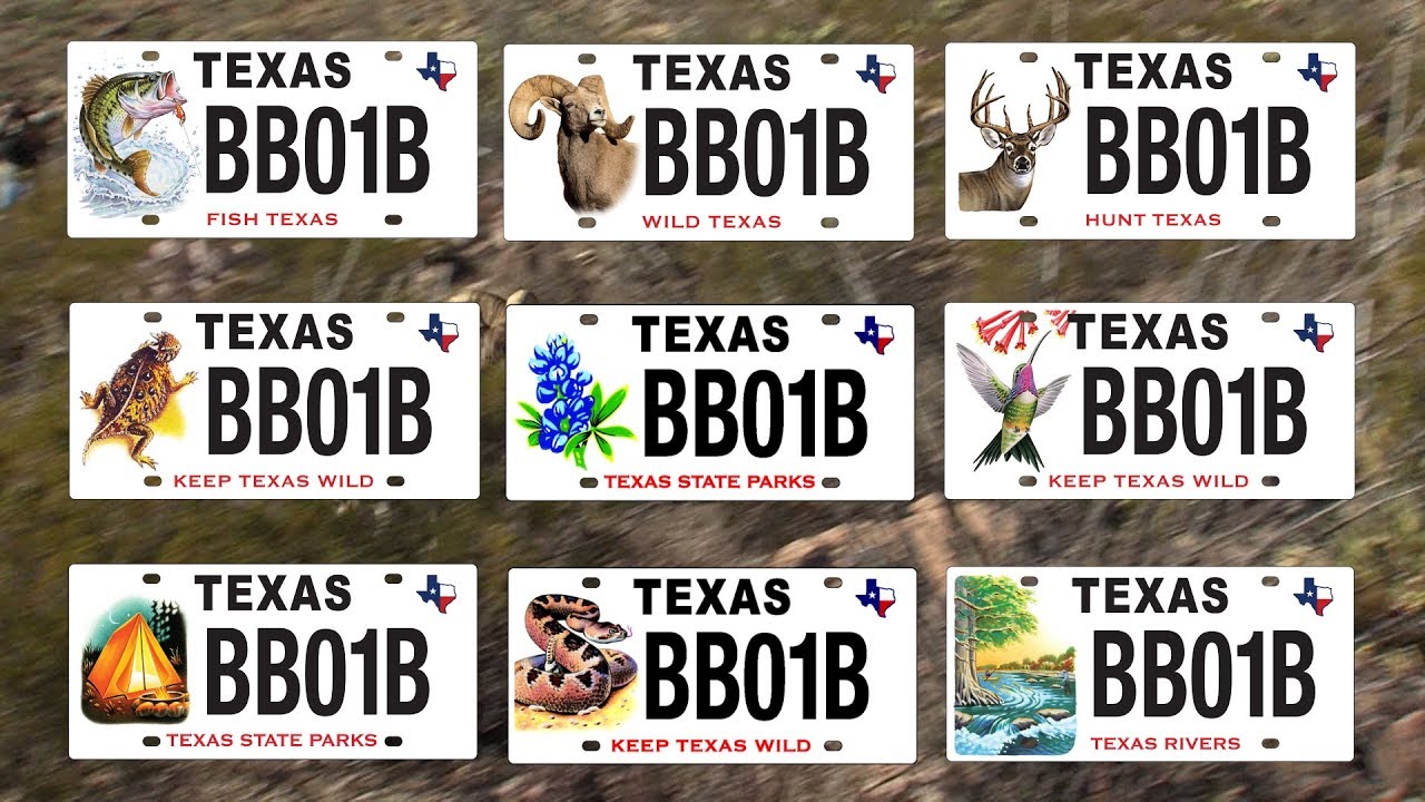 Family of Conservation License Plates - YouTube