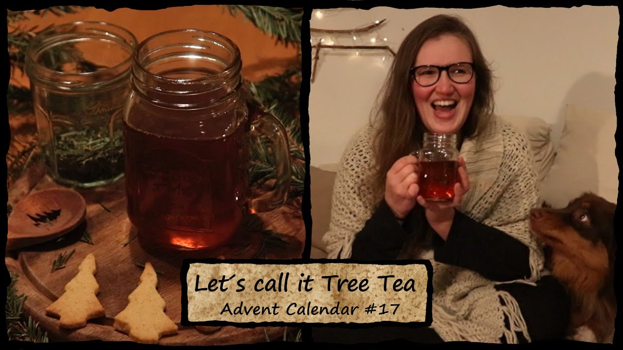 The taste of Fir Tree Tea - Making Fir/Pine Needle Tea - Advent ...