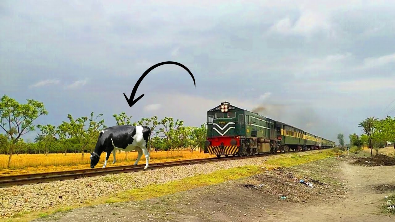 TOP TRENDING TRAIN VIDEO! - YouTube