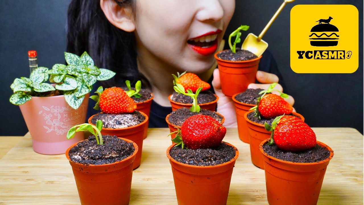 ASMR | 4K | FLOWER POT CAKE MUKBANG EATING SOUNDS 盆栽蛋糕 (EATING SOUNDS ...