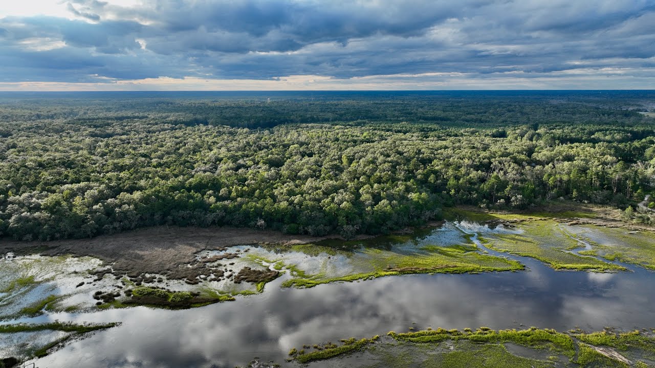 River's Reach Plantation: 93.86 +/- Acres On DEEP WATER w/ Spectacular ...