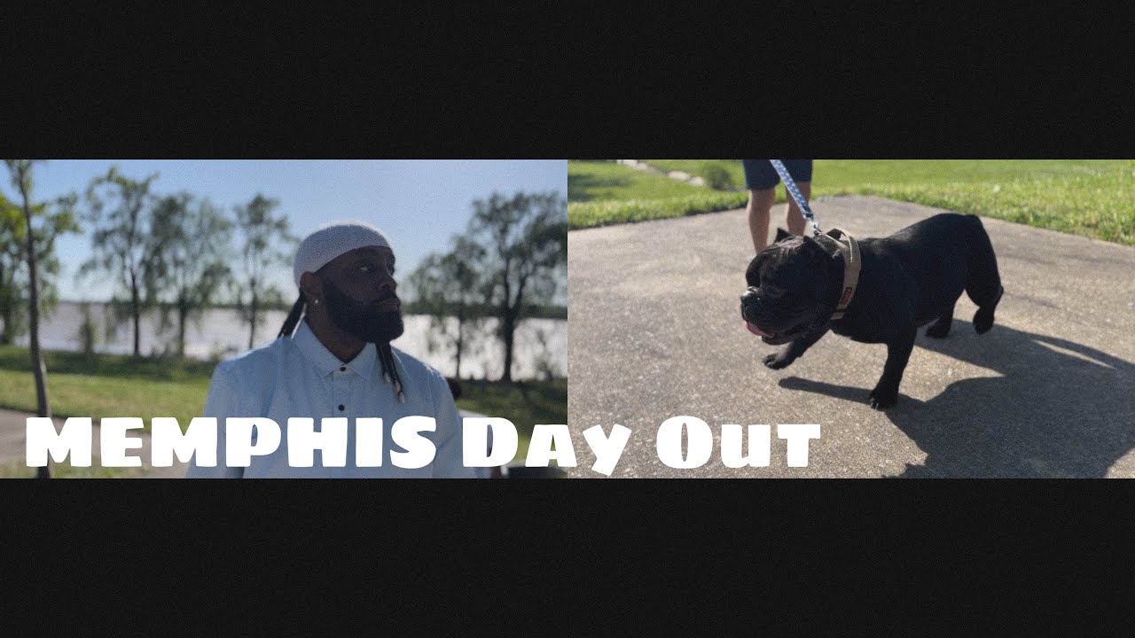 STREETS OF MEMPHIS HOODS VLOG (DOWNTOWN) - YouTube