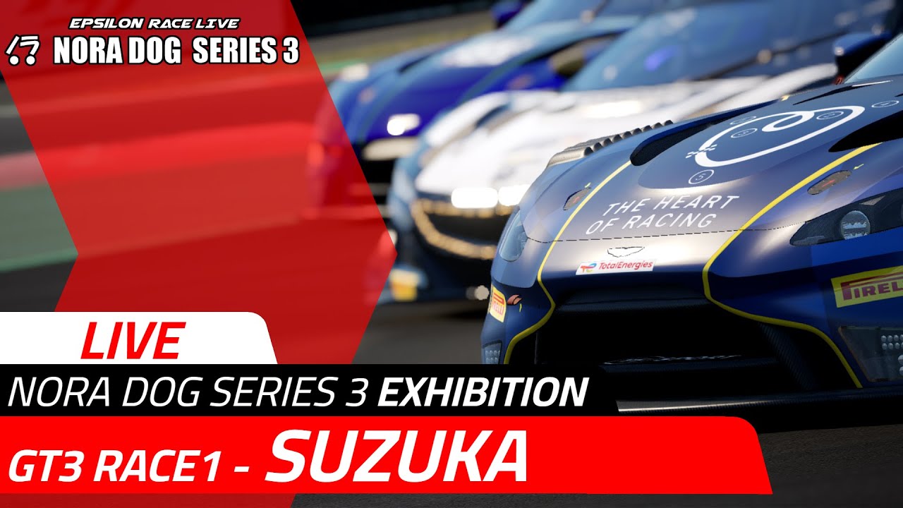 LIVE | #ノラ鯖/#NORA鯖 | GT3 RACE 1 | SUZUKA | NORA DOG SERIES 3 EXHIBITION ...