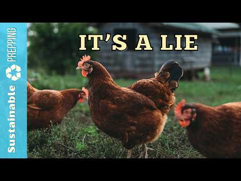 Homesteading is a LIE (But the Truth Is Simple)