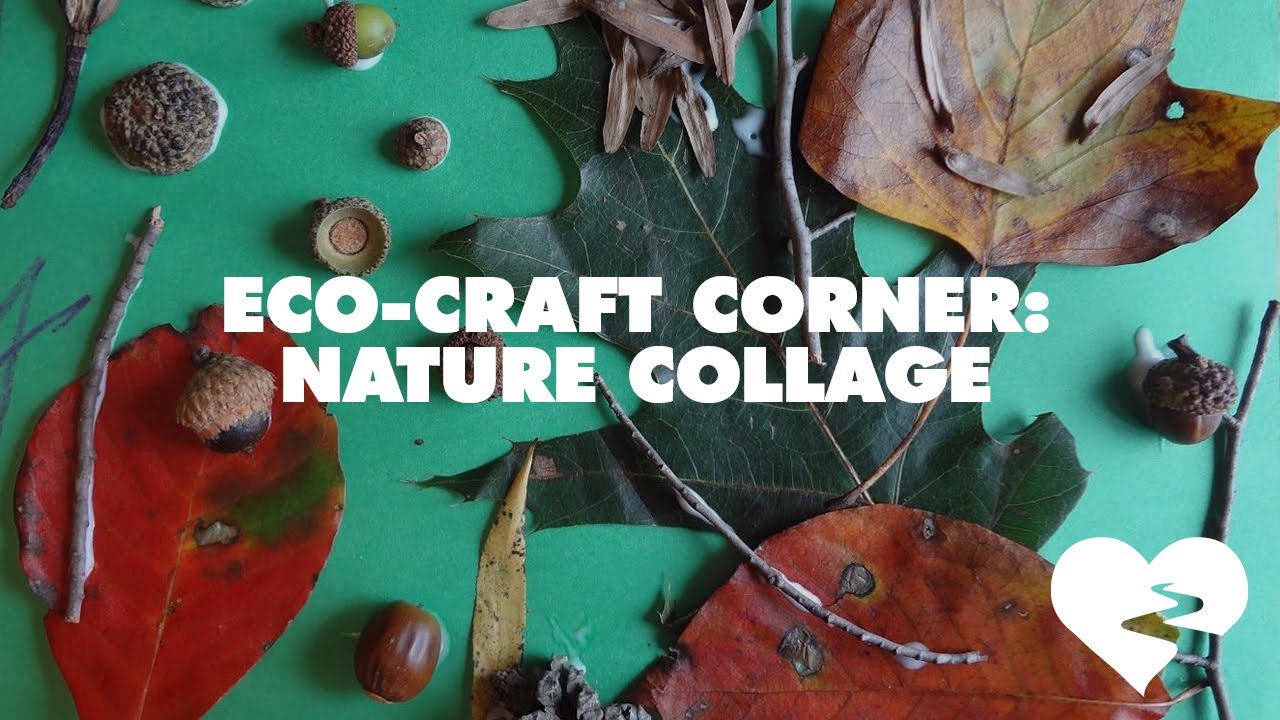 How to Craft: Eco-friendly DIY Nature Collage - YouTube