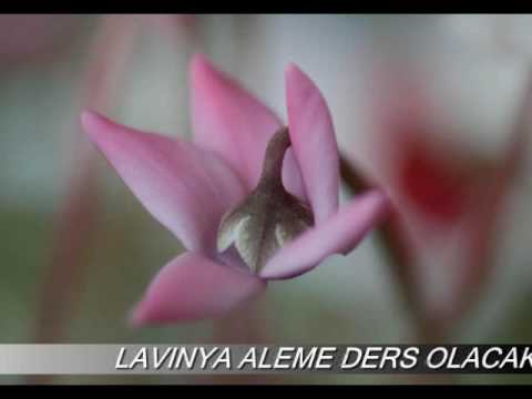 GANİ KÜRKLÜ-DERS OLAYIM