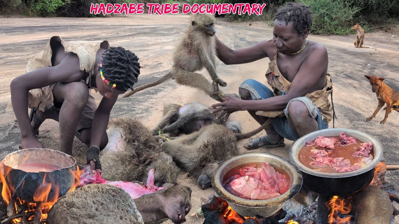 Discover Hadzabe Tribe Baboon Antelope Hunt & Cooking | Wild Honey ...