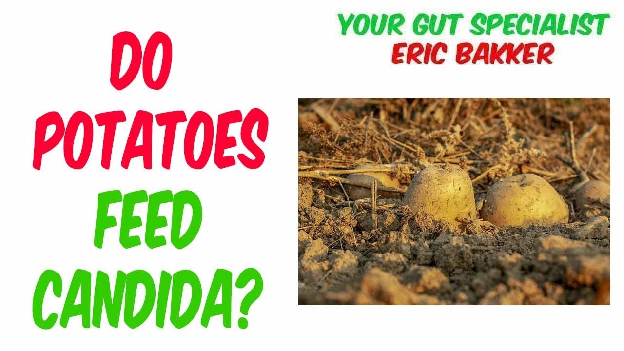 Do Potatoes Feed Candida? - YouTube