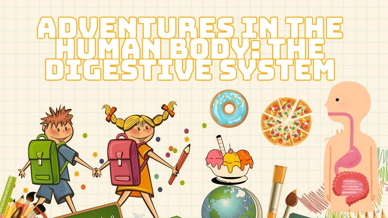 Adventures in the Human Body: The Digestive System - YouTube